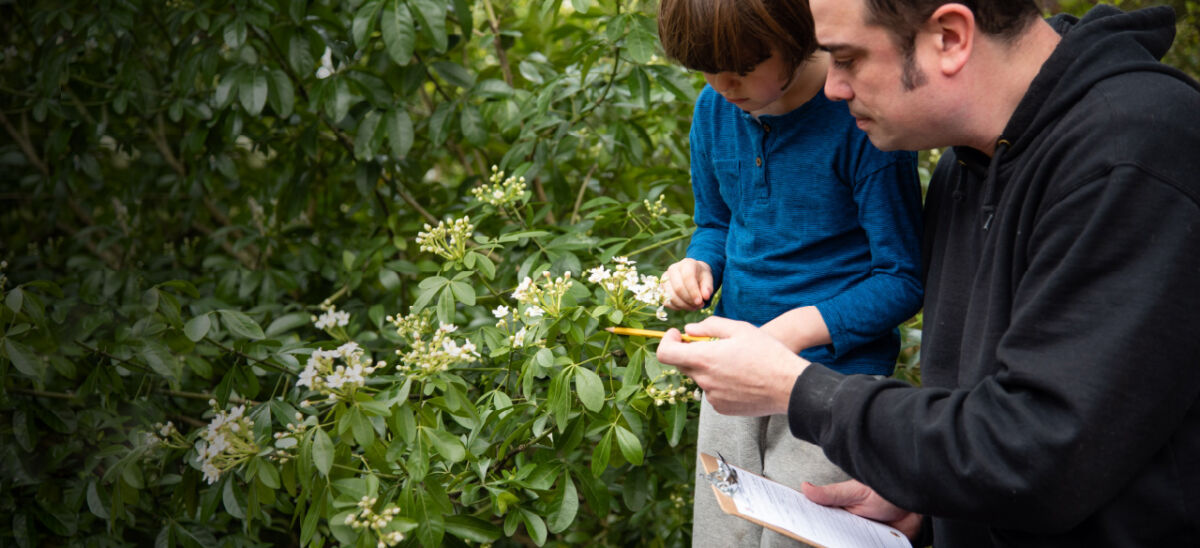(Resource List) Citizen Science in the Library: Turn Your Curiosity ...
