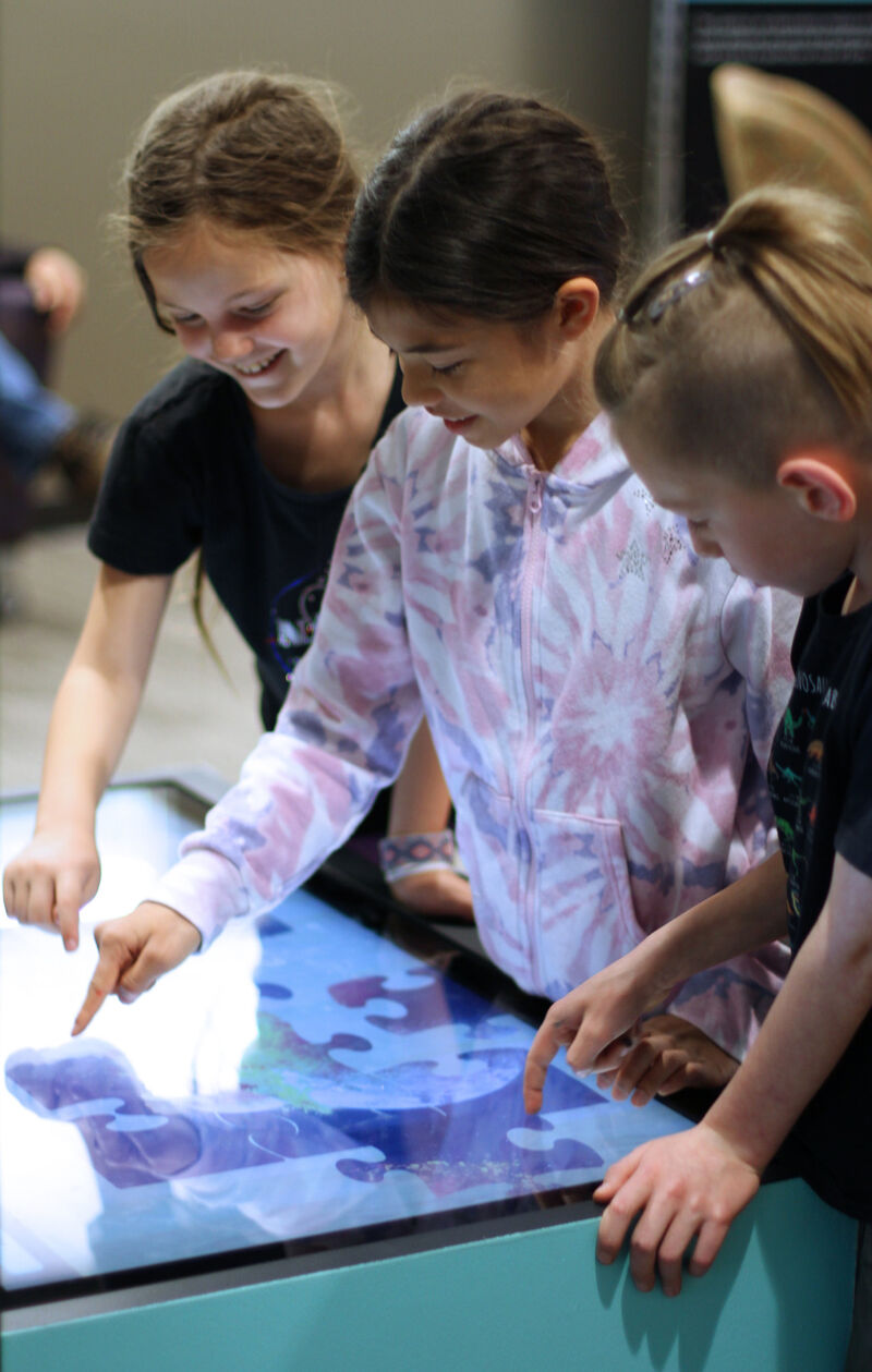 From Our Town to the Moon, Mars, and Beyond – STAR Library Network