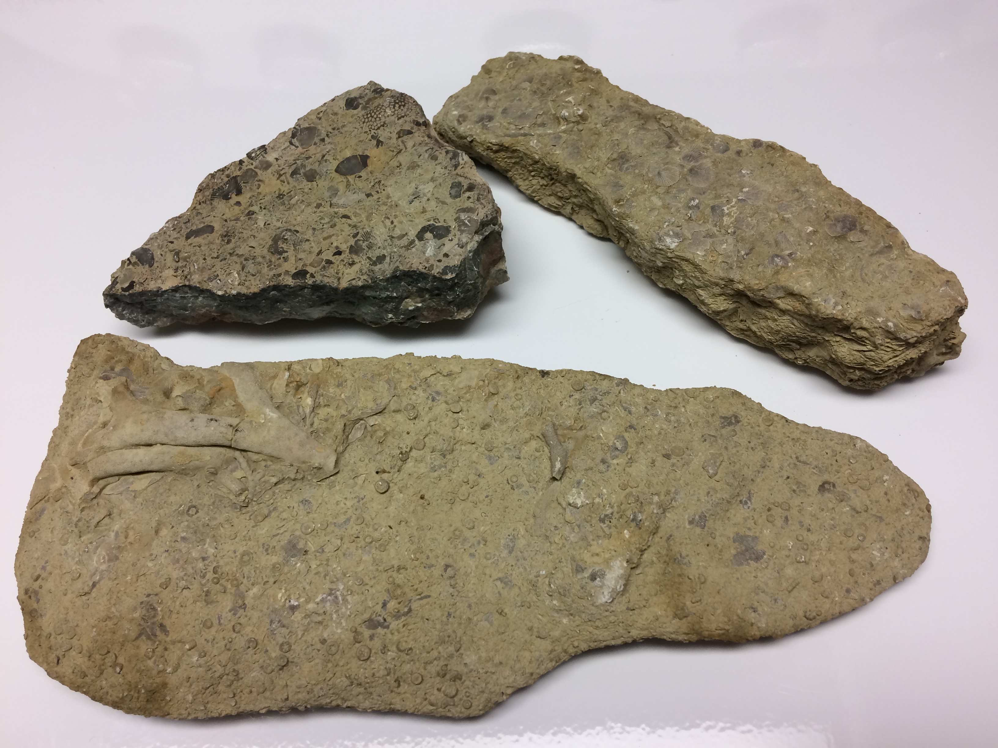 Geology Rocks! – STAR Net