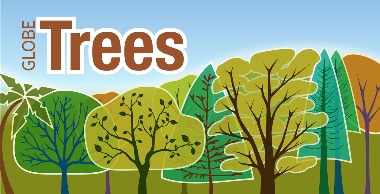 Make Every Tree Count Programs You Can Use Star Net